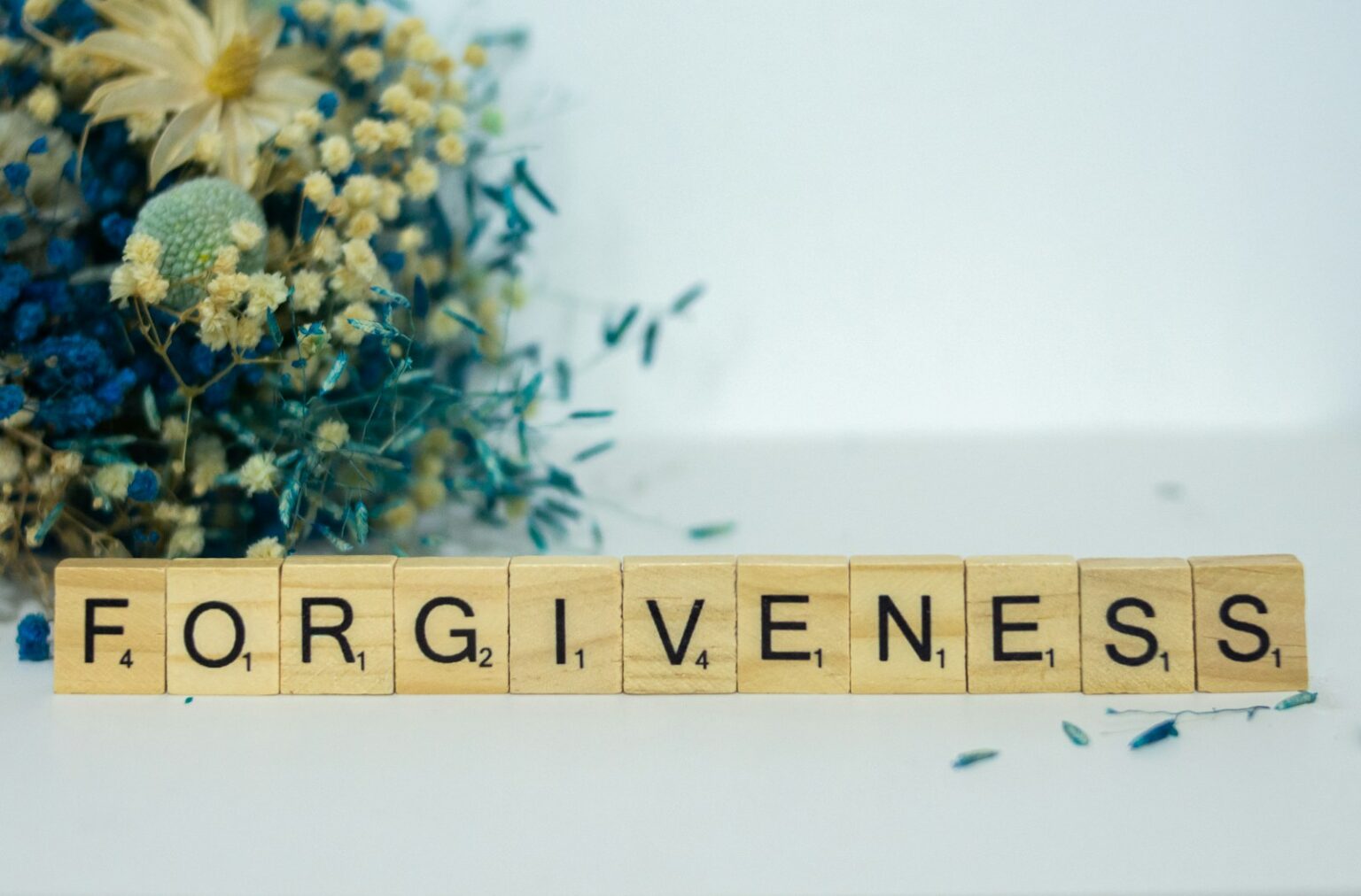Top 10 Student Loan Forgiveness Programs to Grab in 2025
